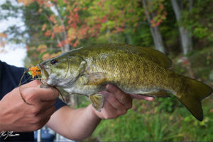 Summer Trips - Muskegon River Inn